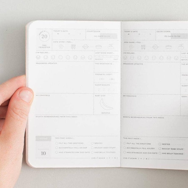 Pregnancy Passport – Mini Mint