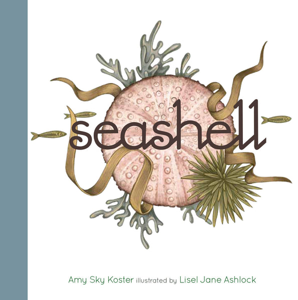 Seashell – Mini Mint